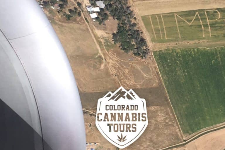 First Domestic Certified Hemp Seeds Issued by Colorado Department of ...