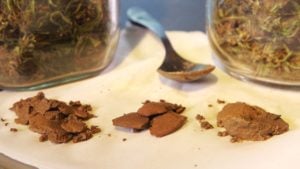 Cannabis Concentrates Guide: THC Oils, Hash, Wax, Shatter & Dabs