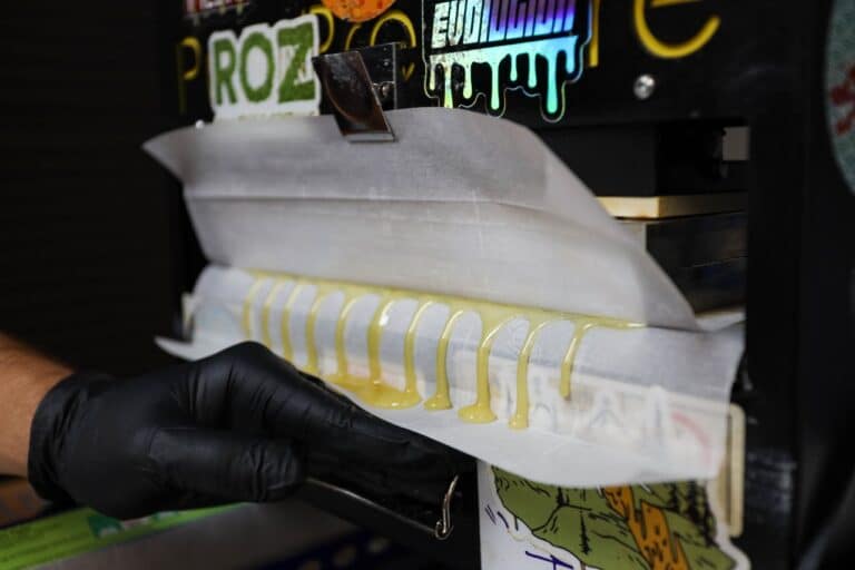 Rosin vs Resin: The Differences You Need to Know